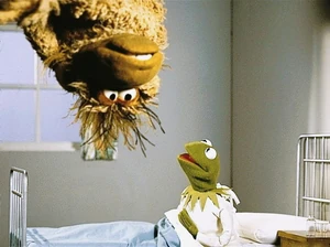 Quongo | Muppet Wiki | Fandom