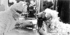 Meryl Sheep | Muppet Wiki | Fandom