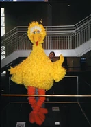 The Art of the Muppets (exhibit) | Muppet Wiki | Fandom