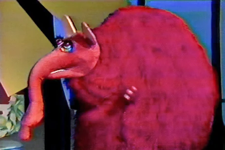 Funga-Funga | Muppet Wiki | Fandom