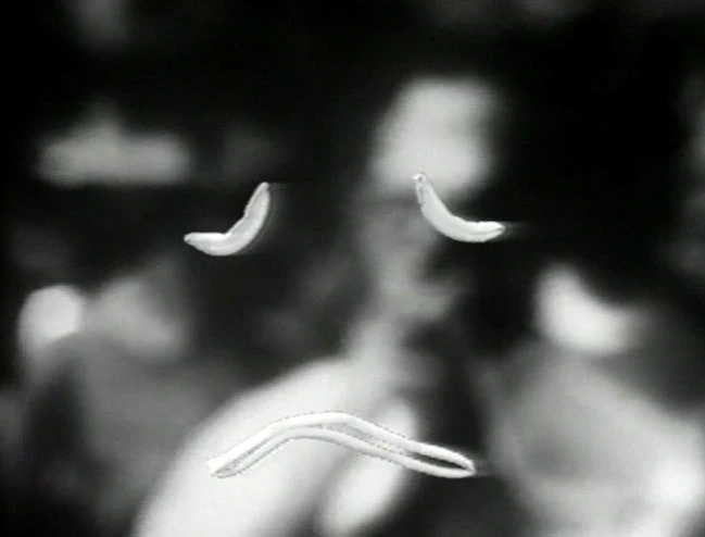 I'm Nobody | Muppet Wiki | Fandom