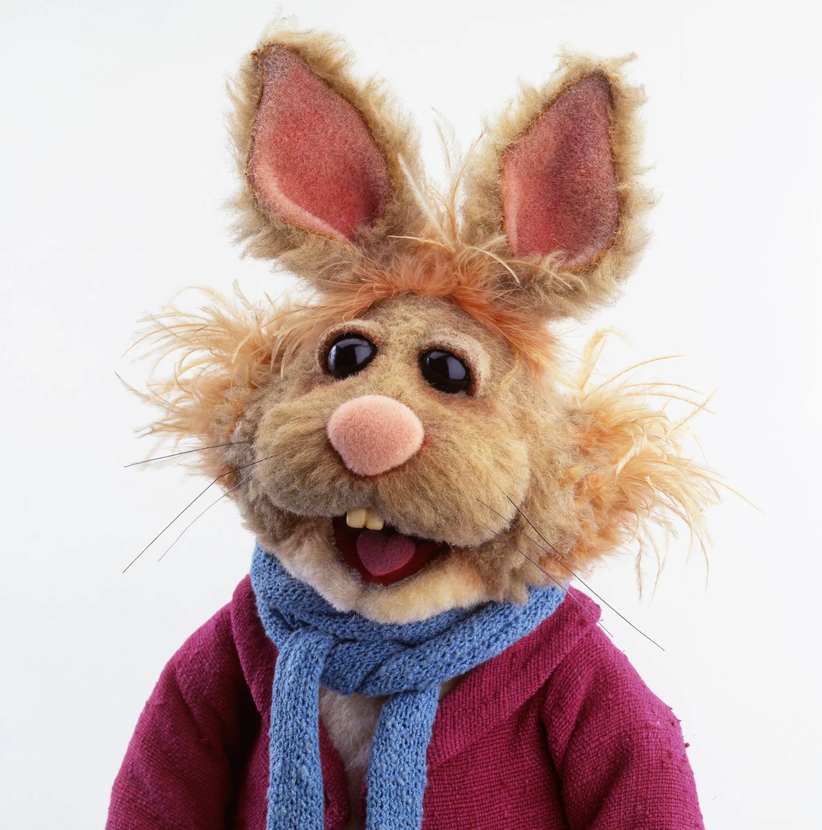 Bean Bunny | Muppet Wiki | Fandom
