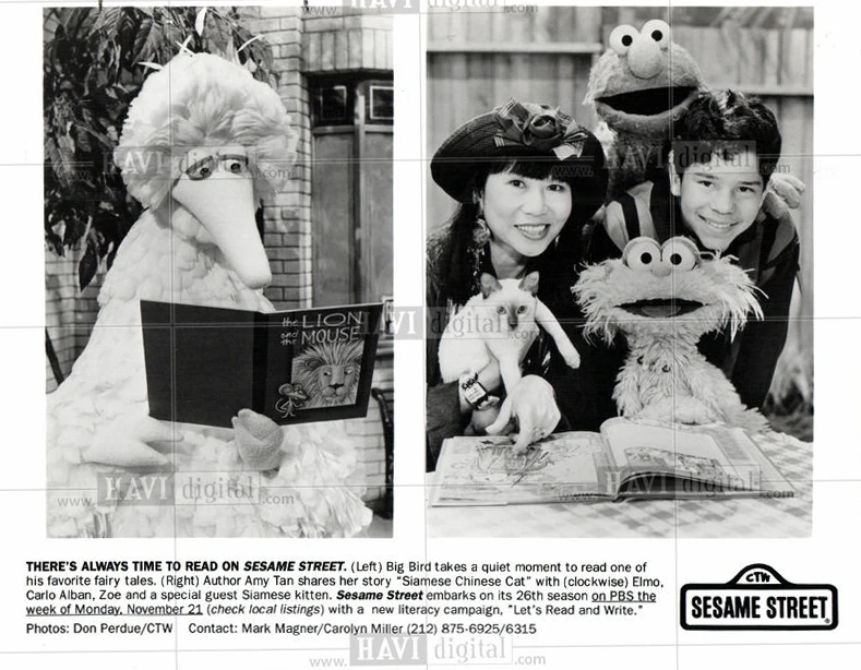 Talk:Season 26 (1994-1995) | Muppet Wiki | Fandom