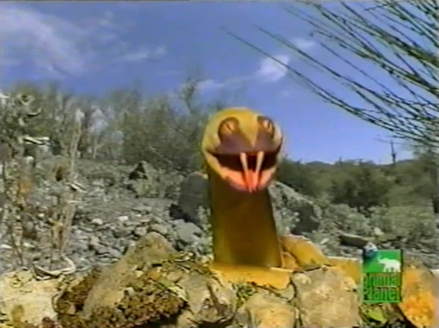 I Feel Like Something Big | Muppet Wiki | Fandom