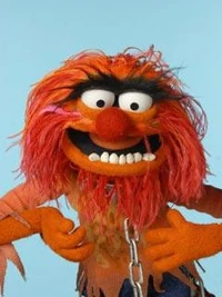Muppets TV | Muppet Wiki | Fandom