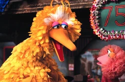 Tiffy | Muppet Wiki | Fandom