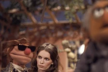 The Muppets Valentine Show | Muppet Wiki | Fandom