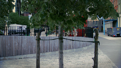 Episode 4318 | Muppet Wiki | Fandom