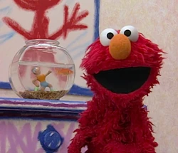 Elmo's World: Exercise | Muppet Wiki | Fandom