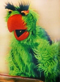 Parrots | Muppet Wiki | Fandom