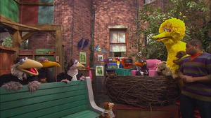 Supreme Court of the United States | Muppet Wiki | Fandom