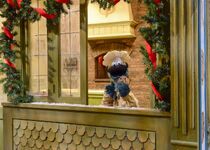 Once Upon a Sesame Street Christmas | Muppet Wiki | Fandom
