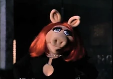 The Muppets' Wizard of Oz promotion | Muppet Wiki | Fandom