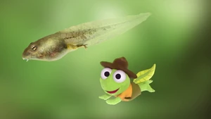 Episode 217: Summer's Big Kerfloofle / Frog Scouts | Muppet Wiki | Fandom