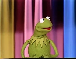 The Tonight Show hosted by Kermit the Frog | Muppet Wiki | Fandom