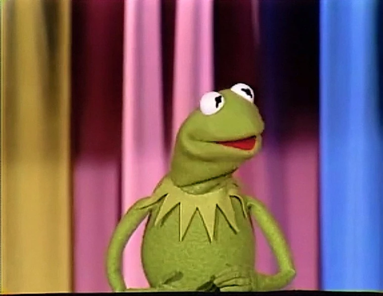 Kermit The Frog Crying