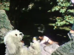 Episode 0044 | Muppet Wiki | Fandom