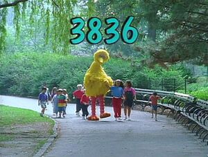 Episode 3836 | Muppet Wiki | Fandom