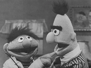 Ernie and Bert: Ernie Plays Doctor | Muppet Wiki | Fandom