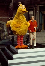Julie on Sesame Street | Muppet Wiki | Fandom