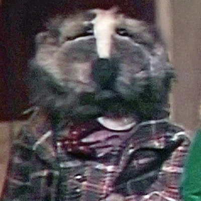 Badgers | Muppet Wiki | Fandom