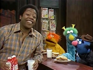 Season 13 (1981-1982) | Muppet Wiki | Fandom