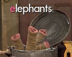 Elephants | Muppet Wiki | Fandom