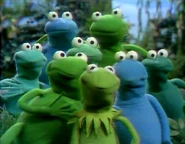 Frogs (song) | Muppet Wiki | Fandom