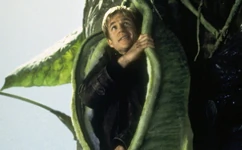 Jack | Muppet Wiki | Fandom