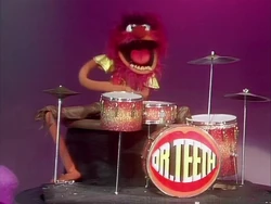 Animal's drum skins | Muppet Wiki | Fandom