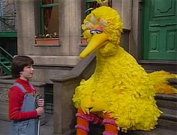 Episode 3614 | Muppet Wiki | Fandom