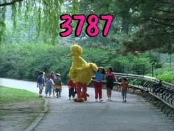 Episode 3787 | Muppet Wiki | Fandom