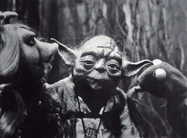 Yoda | Muppet Wiki | Fandom