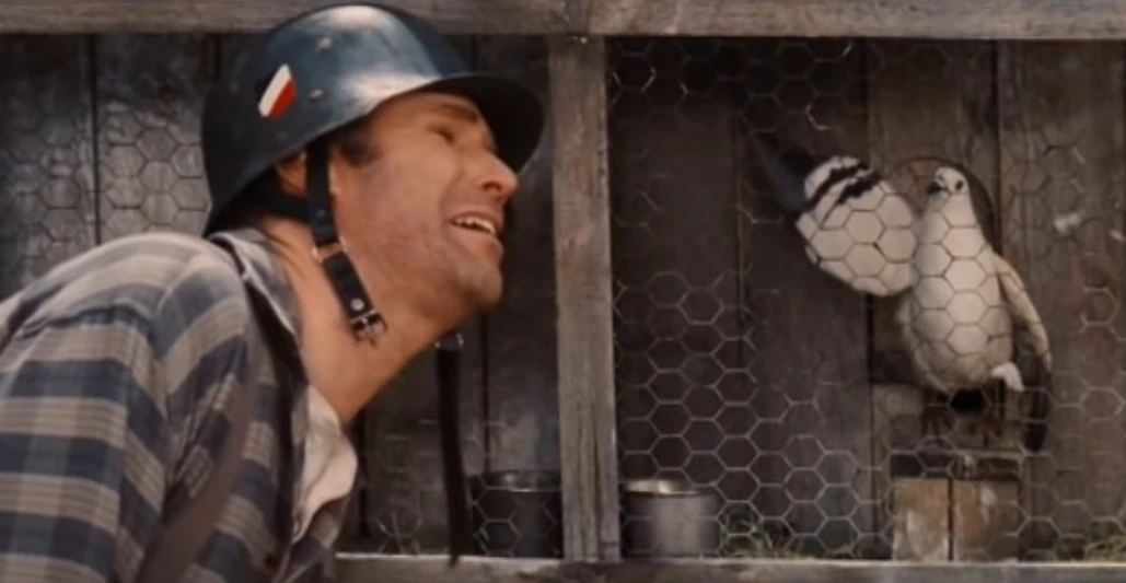 Will Ferrell | Muppet Wiki | Fandom