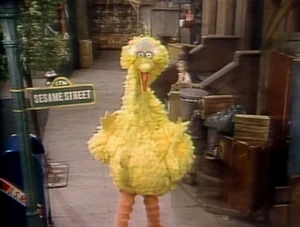 The Wonder Years | Muppet Wiki | Fandom