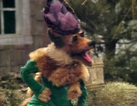 Gretchen Fox | Muppet Wiki | Fandom