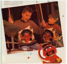 Muppets Knitting Book | Muppet Wiki | Fandom