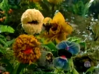 Episode 112: Food | Muppet Wiki | Fandom