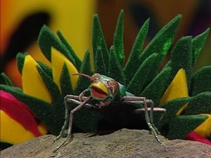 Nippy the Tiger Beetle | Muppet Wiki | Fandom