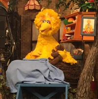 Episode 4702 | Muppet Wiki | Fandom