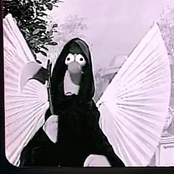 Bunsen and Beaker's Alternate Identities and Ages | Muppet Wiki | Fandom