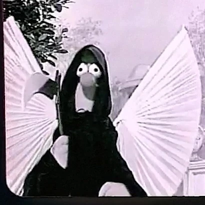 Bunsen and Beaker's Alternate Identities and Ages | Muppet Wiki | Fandom