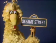 Big Bird Through the Years | Muppet Wiki | Fandom