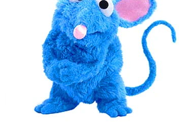 Little Bear Blues Clues Sesame Street Bear Big Blue House Pip Pop Bert