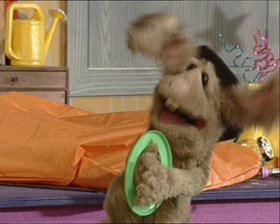 Rabbit (Mopatop's Shop) | Muppet Wiki | Fandom