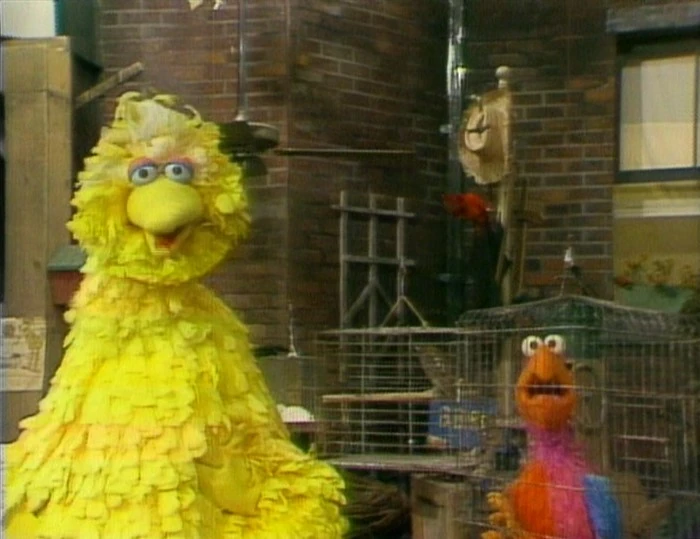 Poco Loco | Muppet Wiki | Fandom