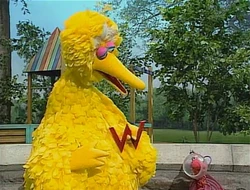 Episode 3161 | Muppet Wiki | Fandom