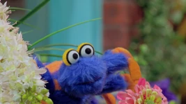 Spiders | Muppet Wiki | Fandom