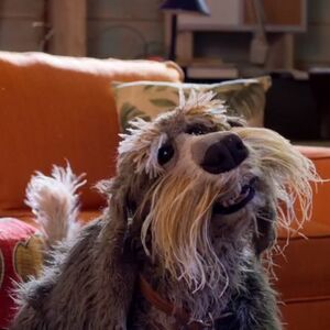 Sprocket | Muppet Wiki | Fandom
