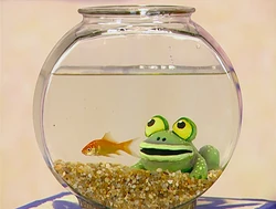 Elmo's World: Frogs | Muppet Wiki | Fandom